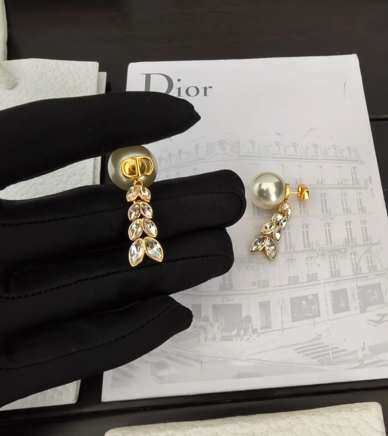Christian Dior Earrings