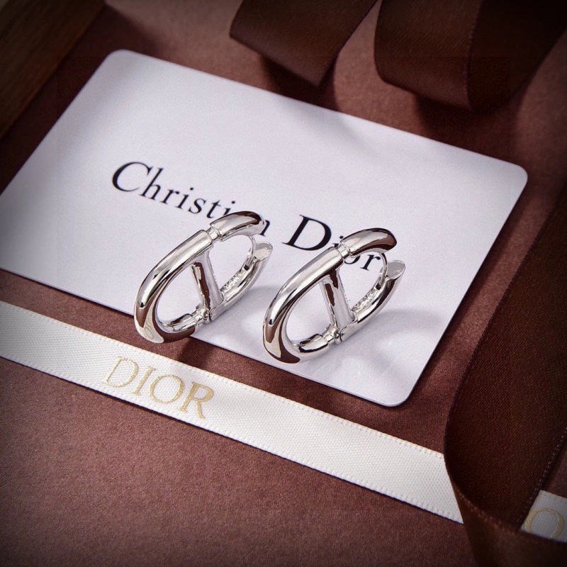 1:1 copy Christian Dior Earrings