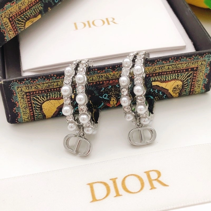 Inexpensive Christian Dior Earrings
