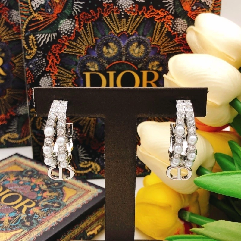 Inexpensive Christian Dior Earrings