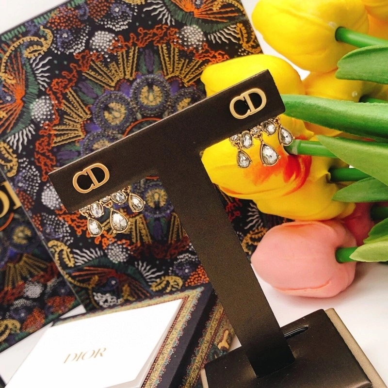 Top match Christian Dior Earrings