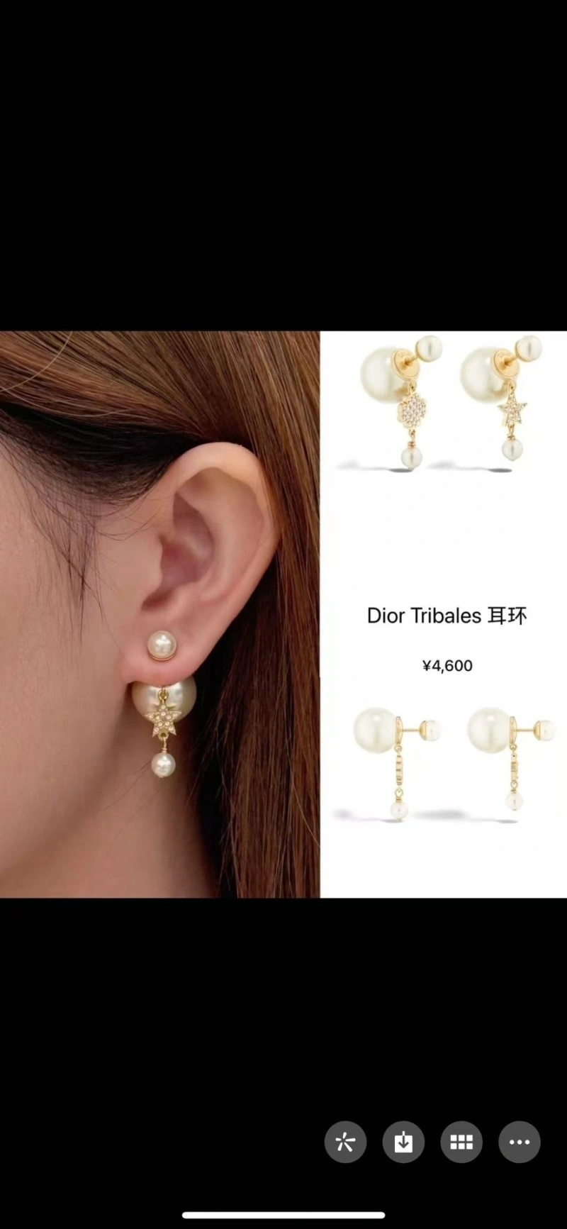 High fidelity Christian Dior Earrings