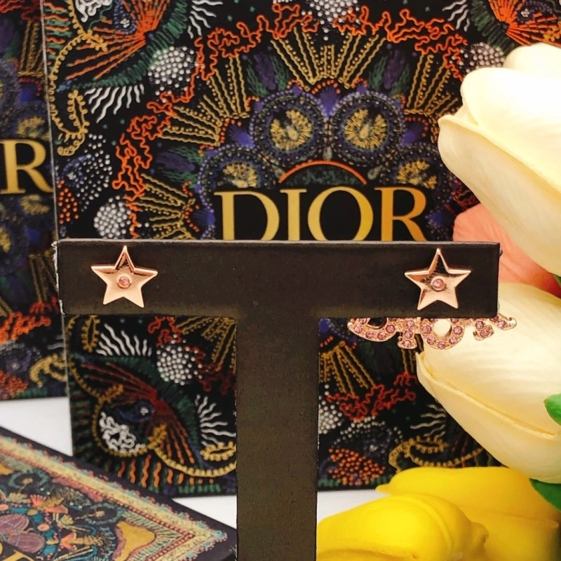 High fidelity Christian Dior Earrings