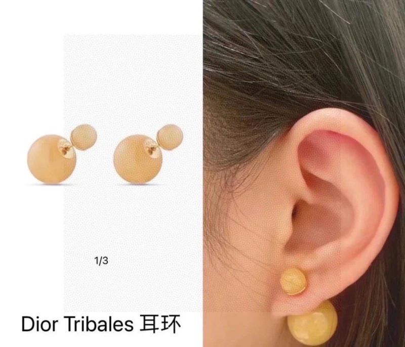 Mirror quality Christian Dior Earrings