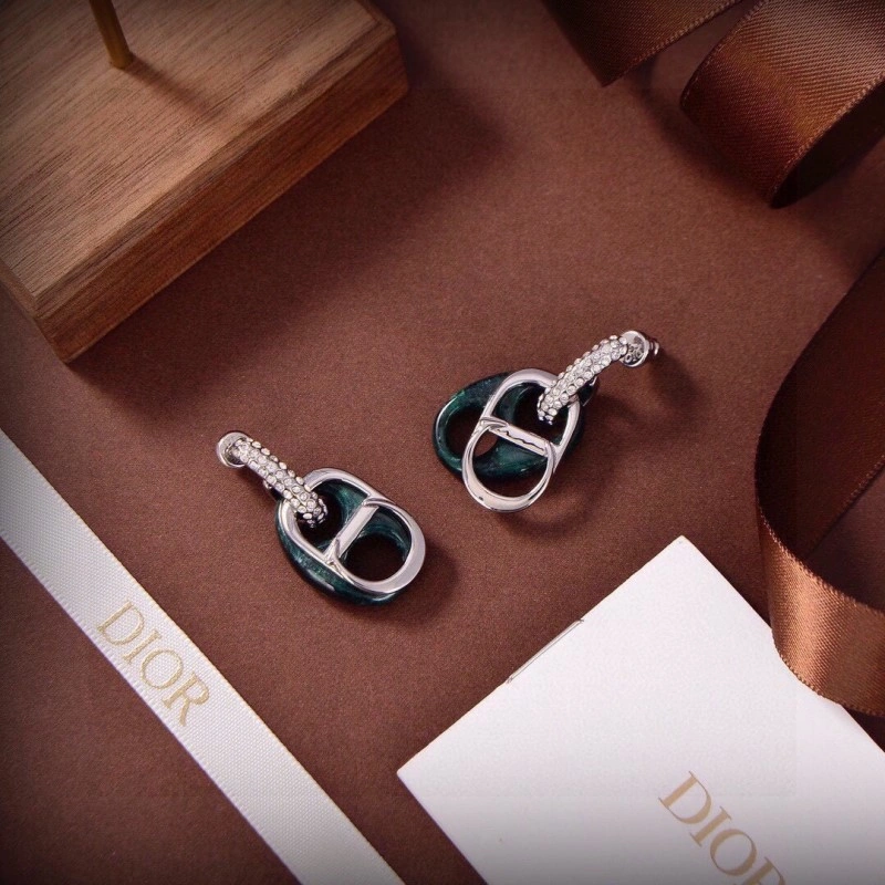 High accuracy Christian Dior Earrings
