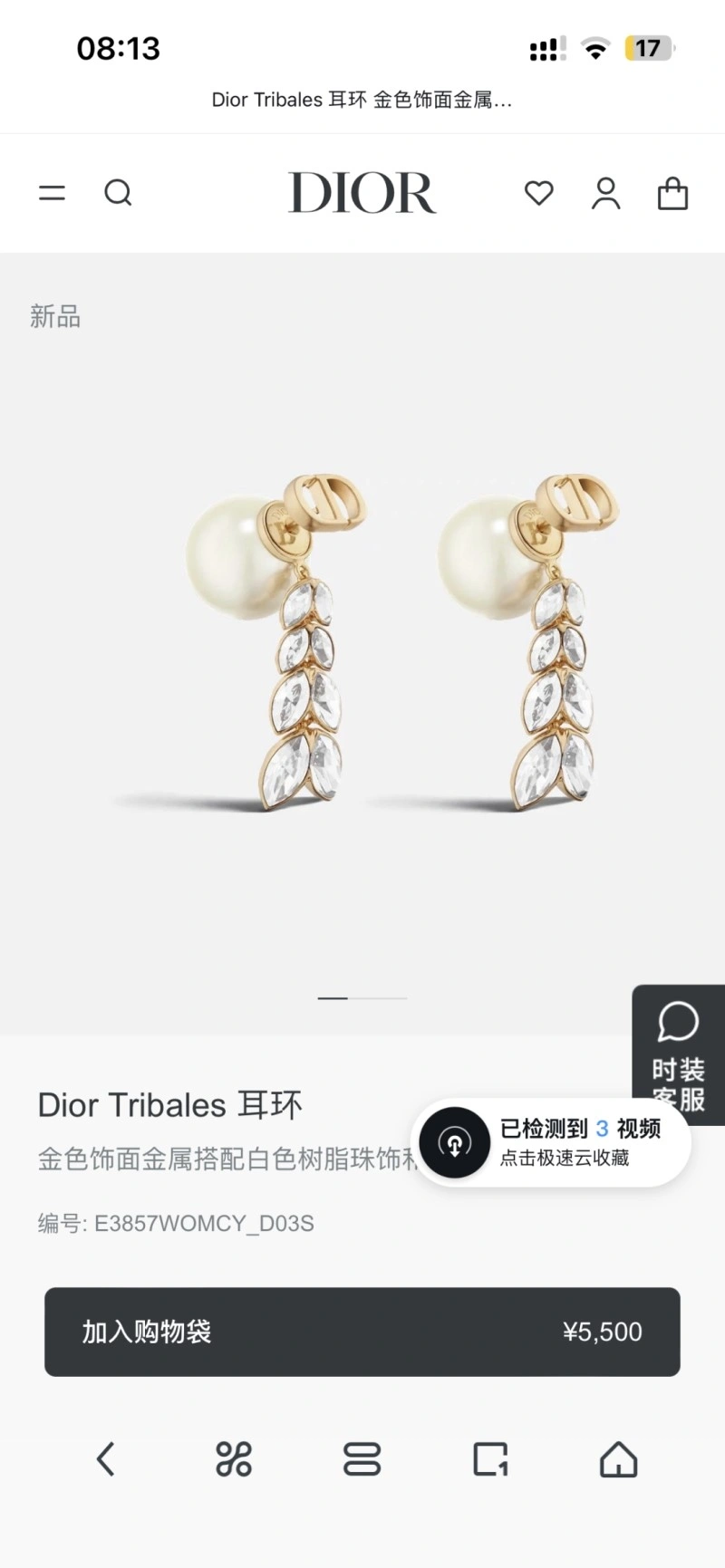 Christian Dior Earrings