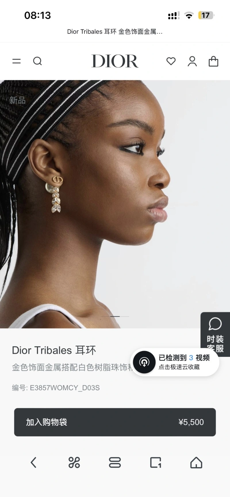 Inexpensive Christian Dior Earrings