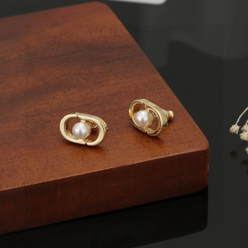 1:1 copy Christian Dior Earrings