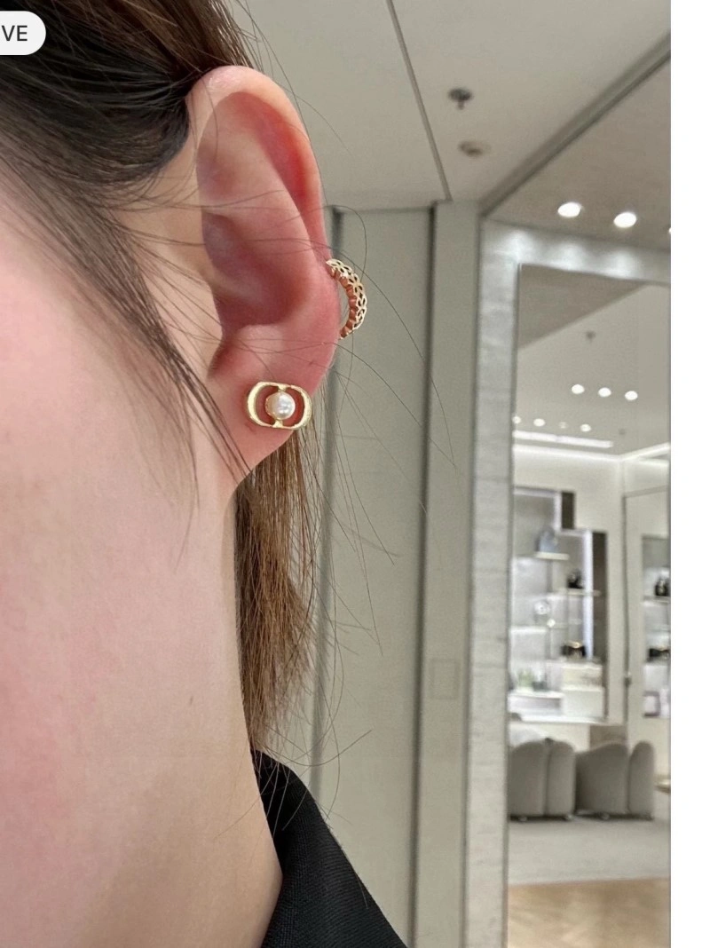 1:1 copy Christian Dior Earrings