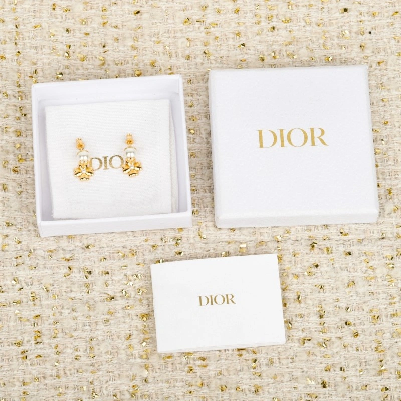Christian Dior Earrings