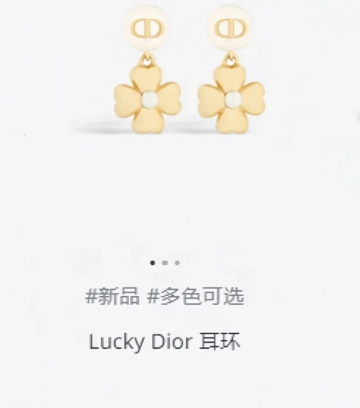 Accurate model Christian Dior Earrings