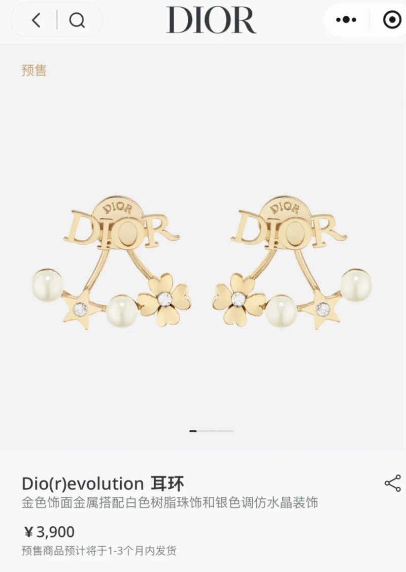 Discounted Christian Dior Earrings