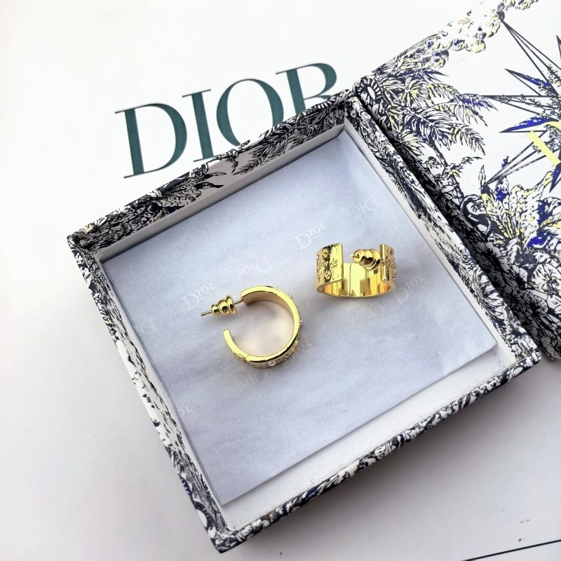High fidelity Christian Dior Earrings