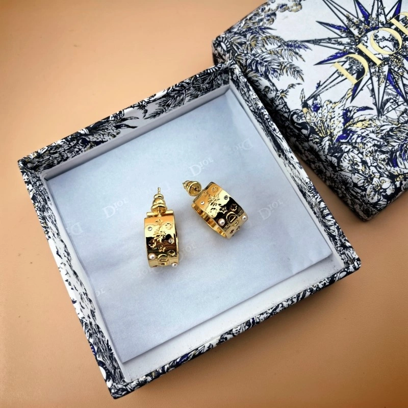 High fidelity Christian Dior Earrings