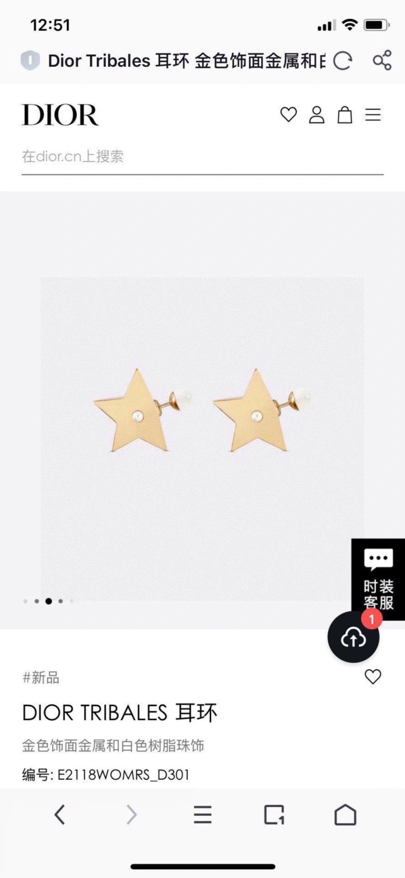 Inexpensive Christian Dior Earrings