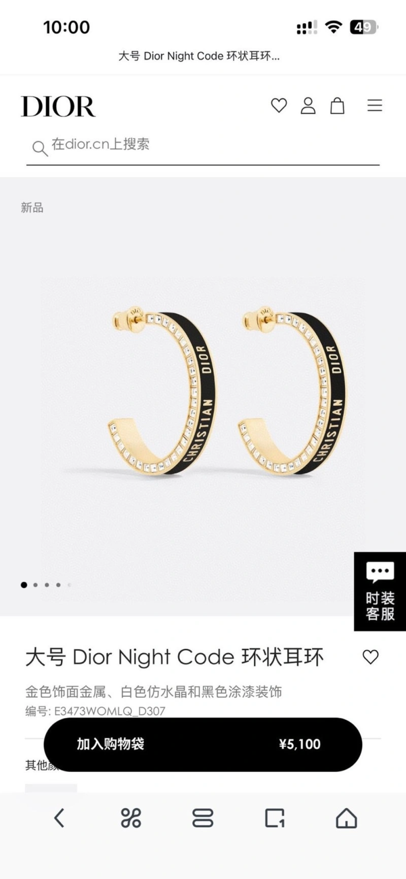 Christian Dior Earrings