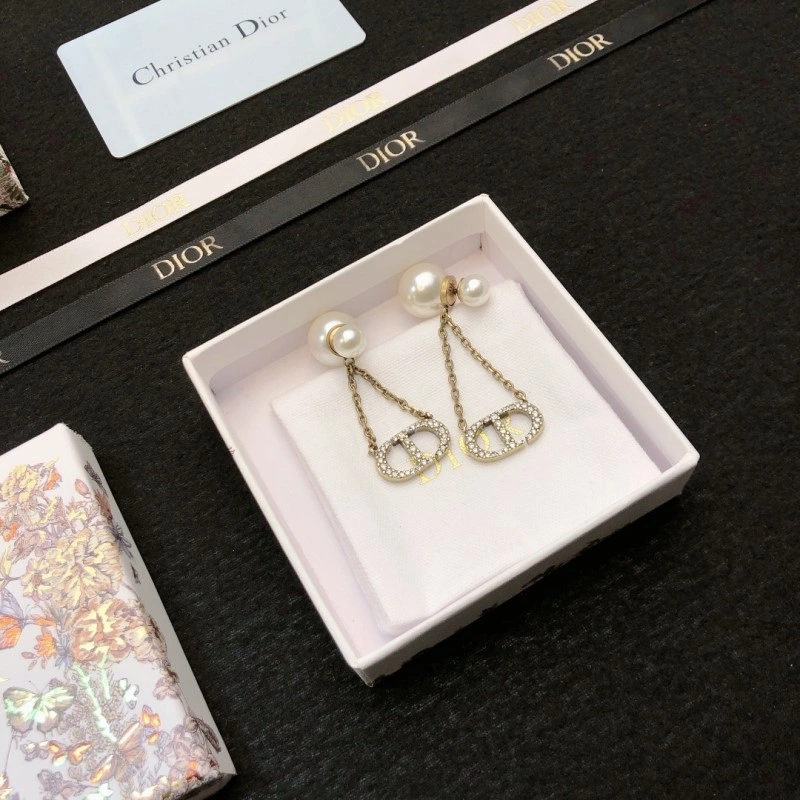 Mirror quality Christian Dior Earrings