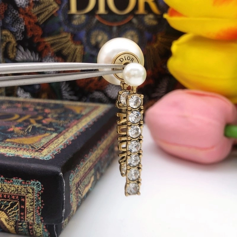 Precise copy Christian Dior Earrings