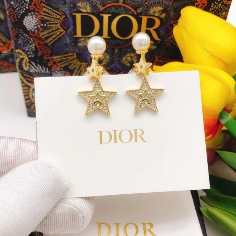 Precise copy Christian Dior Earrings