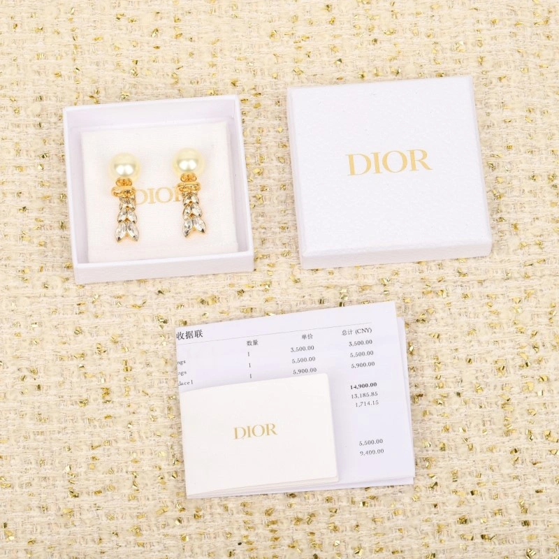 Christian Dior Earrings