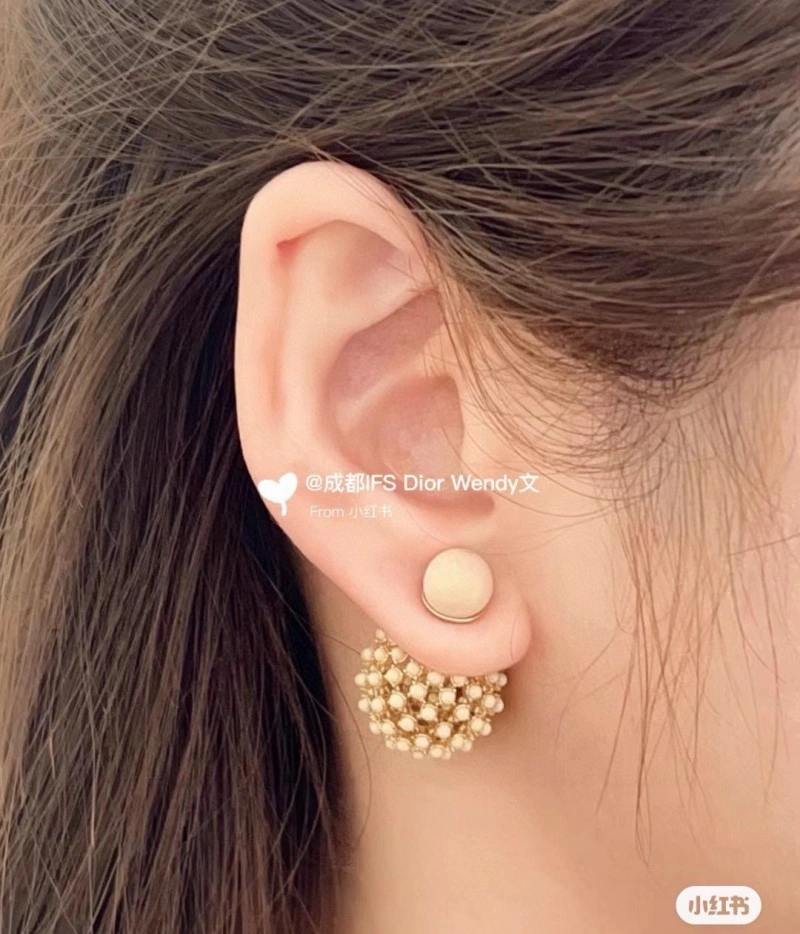 Exact replica Christian Dior Earrings