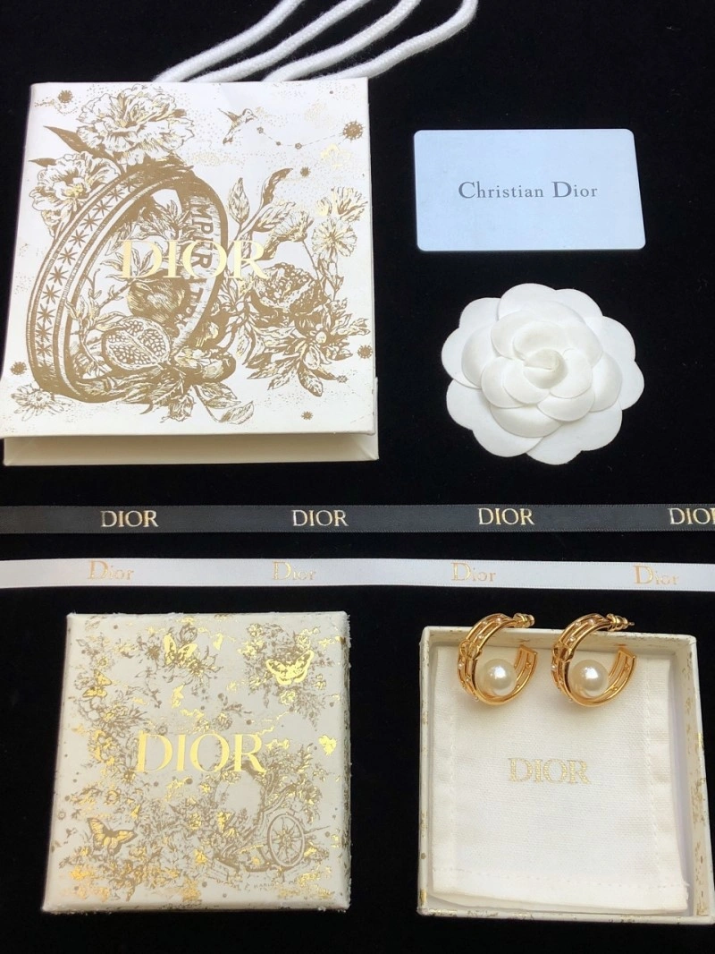 Economical Christian Dior Earrings