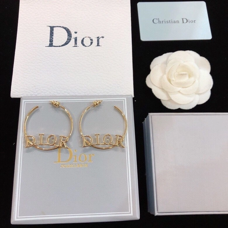 Budget-friendly Christian Dior Earrings