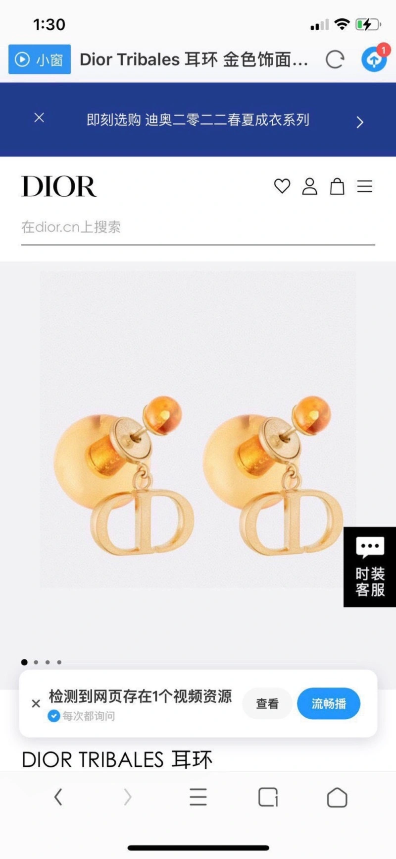 Christian Dior Earrings