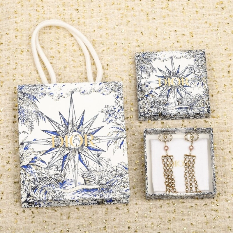 Christian Dior Earrings