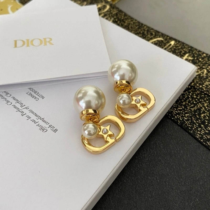 Mirror quality Christian Dior Earrings