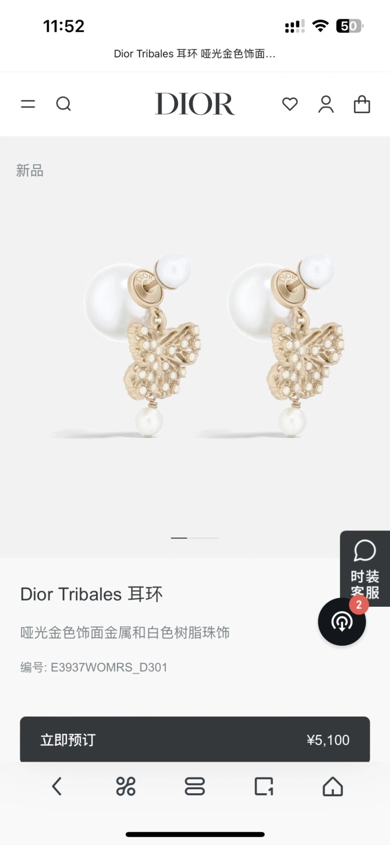 Christian Dior Earrings