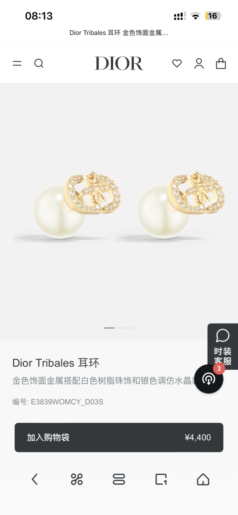 Christian Dior Earrings