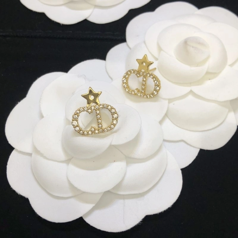 Inexpensive Christian Dior Earrings