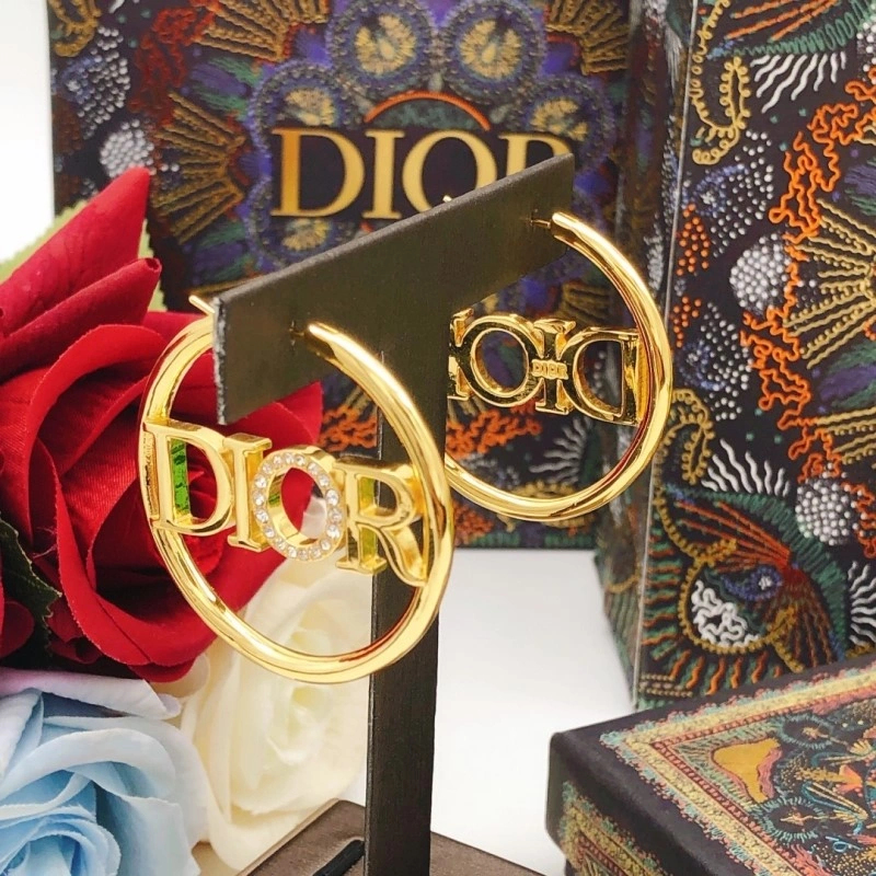High accuracy Christian Dior Earrings