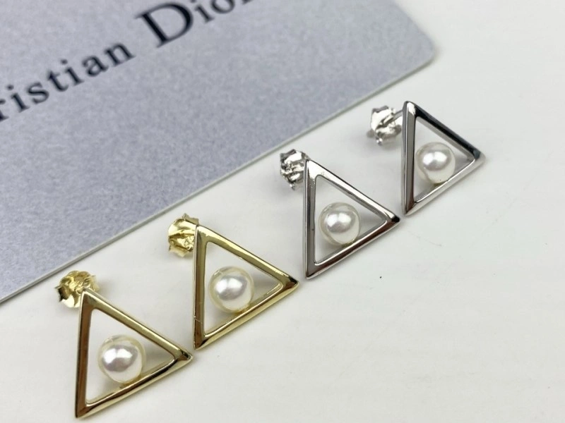 High accuracy Christian Dior Earrings