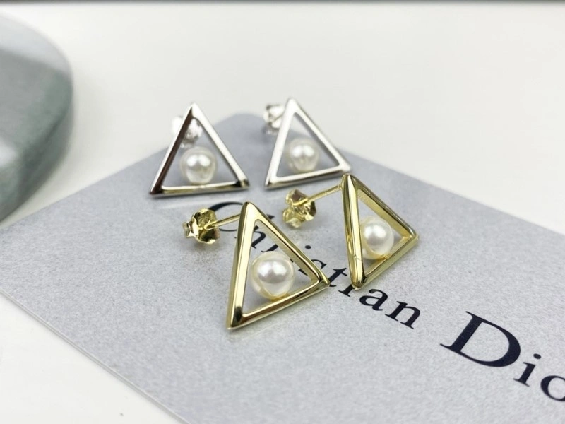 High accuracy Christian Dior Earrings