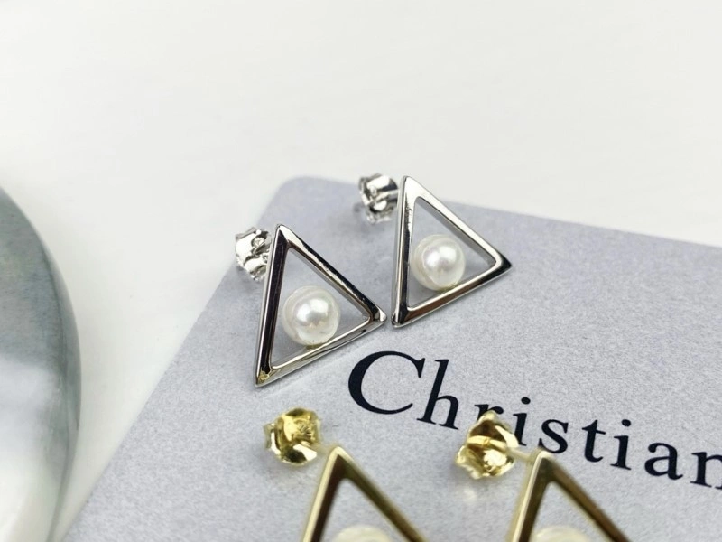 High accuracy Christian Dior Earrings