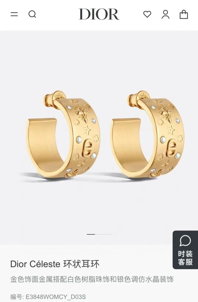 Christian Dior Earrings