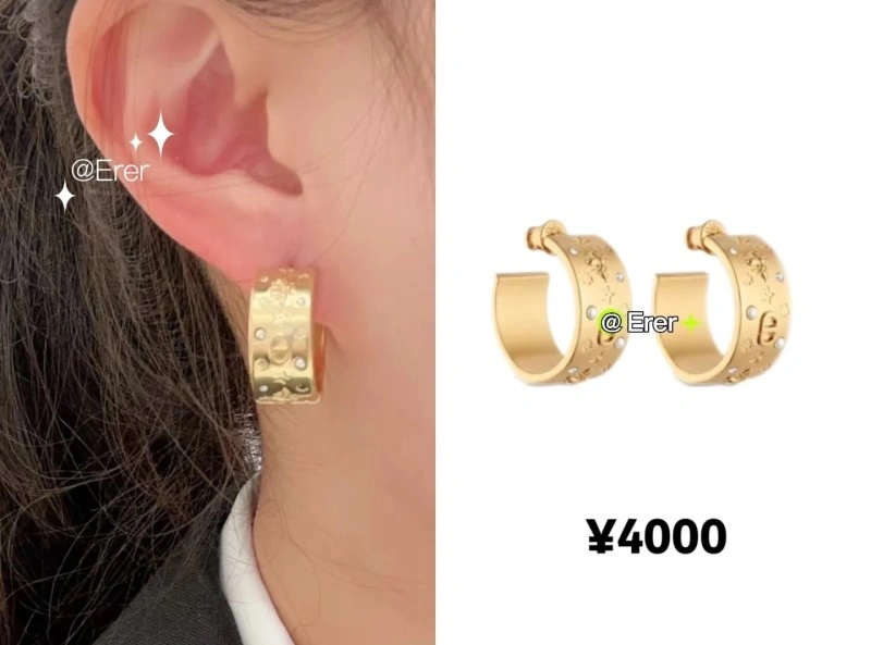 Official Christian Dior Earrings