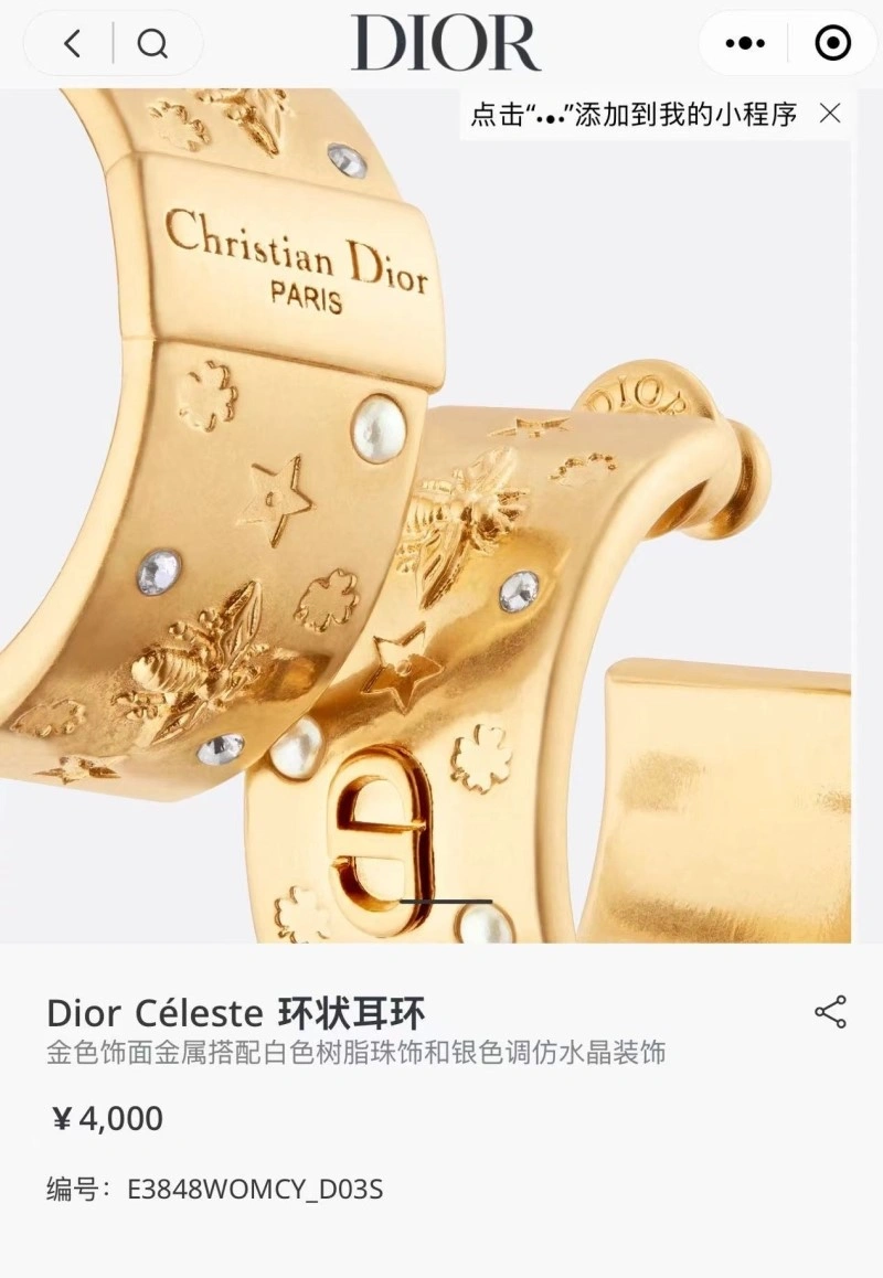 Official Christian Dior Earrings