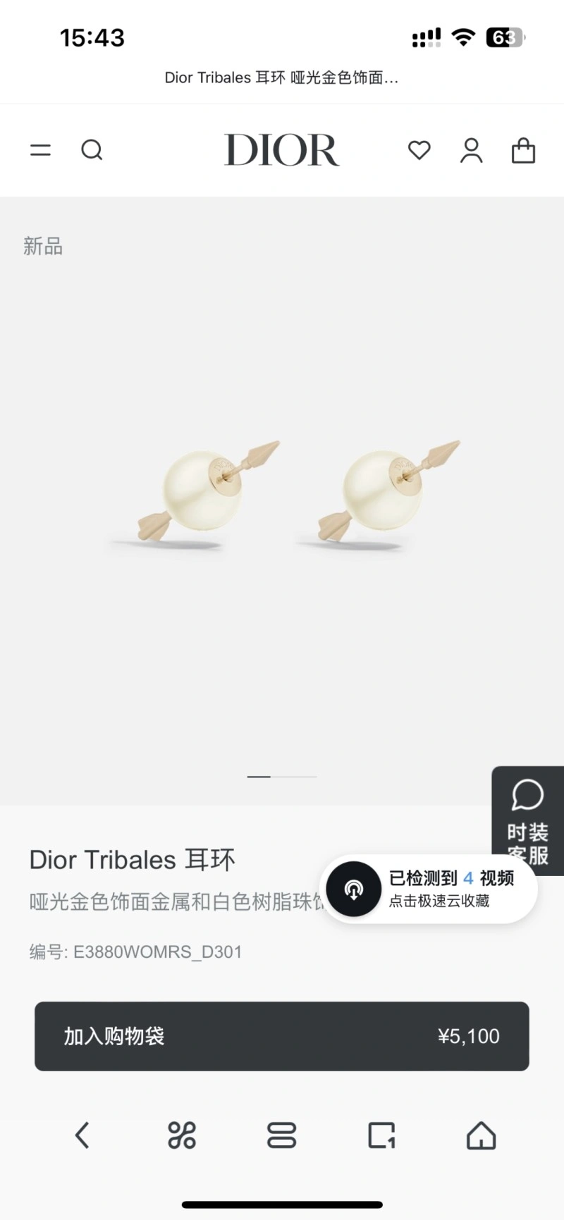 Christian Dior Earrings