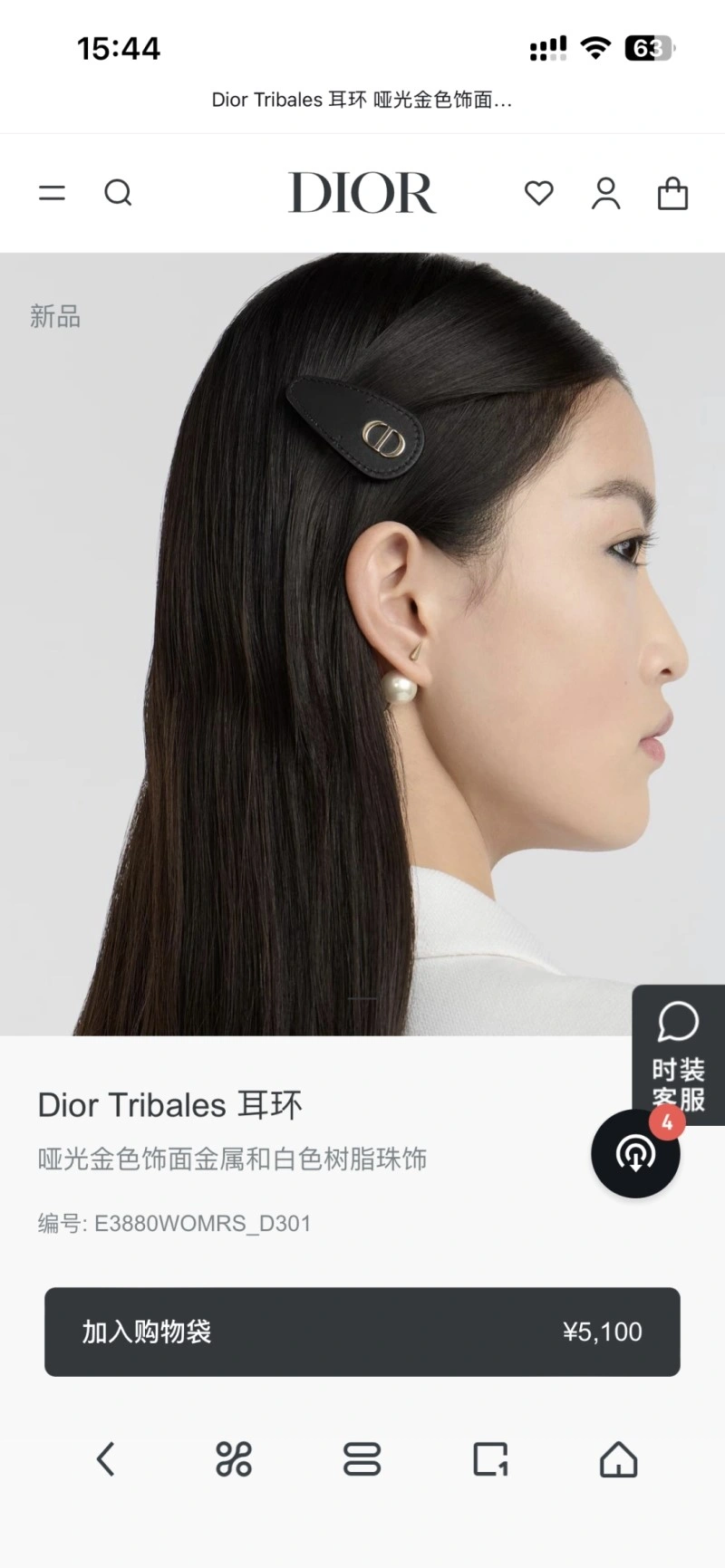 Inexpensive Christian Dior Earrings