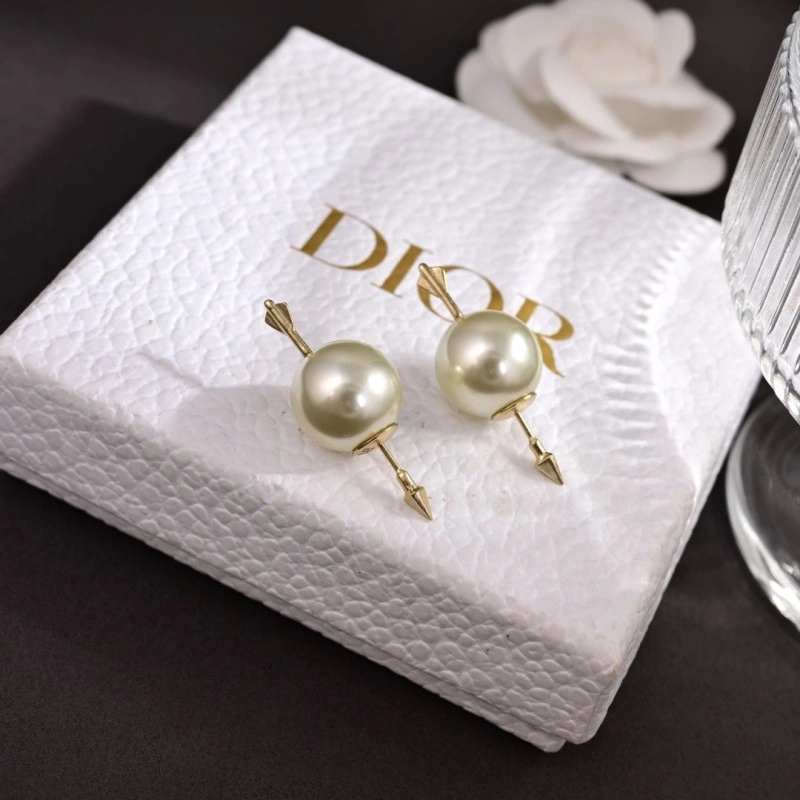 Inexpensive Christian Dior Earrings