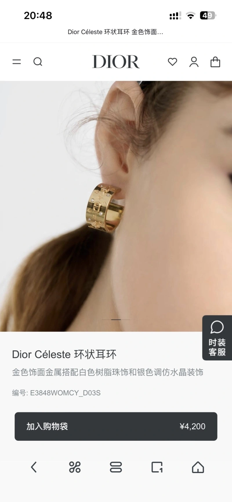 Christian Dior Earrings