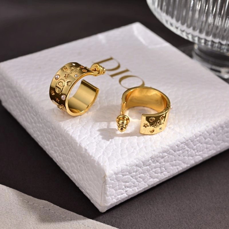 Mirror quality Christian Dior Earrings