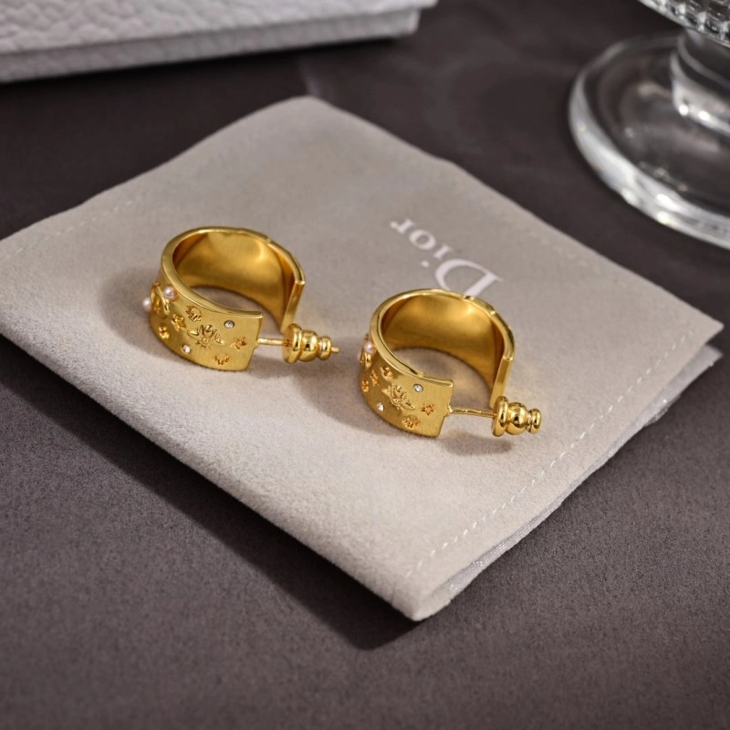 Mirror quality Christian Dior Earrings