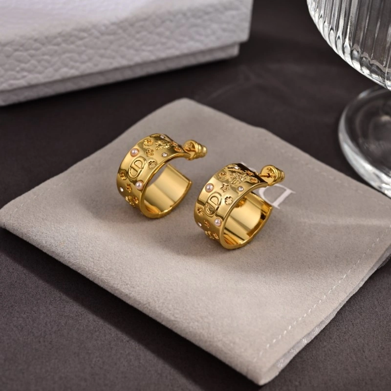 Mirror quality Christian Dior Earrings