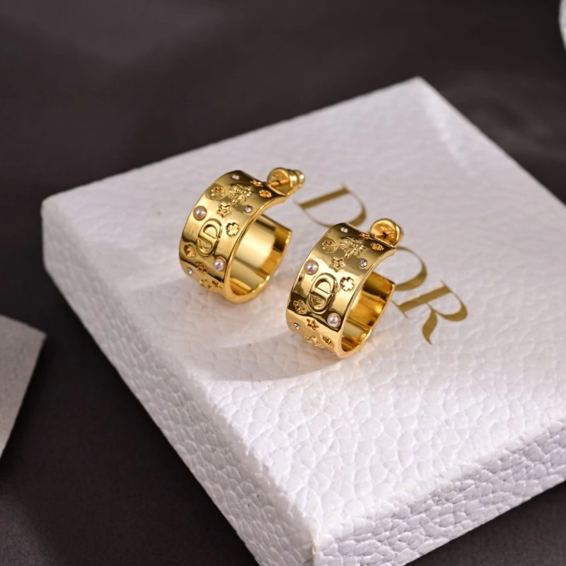 Mirror quality Christian Dior Earrings