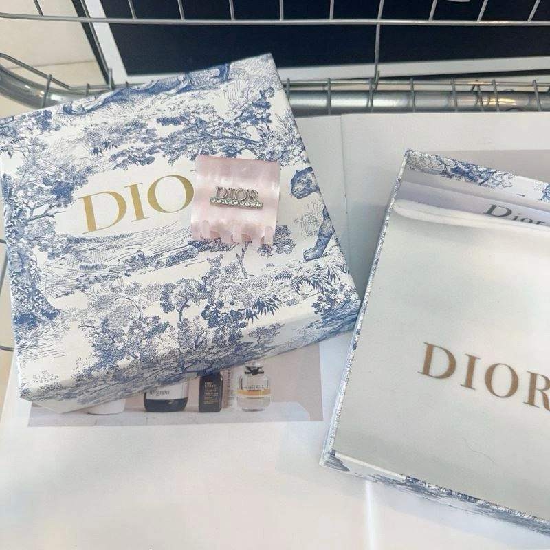 Indistinguishable Christian Dior Hair Hoop