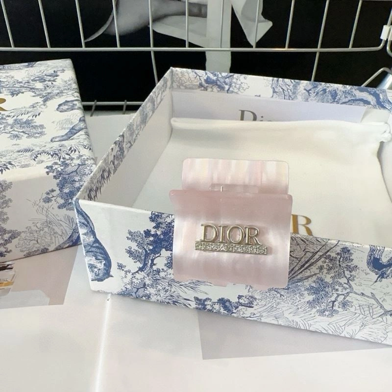 Indistinguishable Christian Dior Hair Hoop
